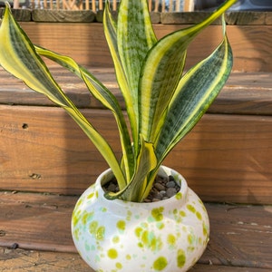 Succulent Planter / Azalea Pot / Ceramic Succulent Pot / | Etsy