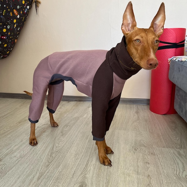 Sewing Pattern for Italian Greyhound Coat / Jacket / Waterproof ...