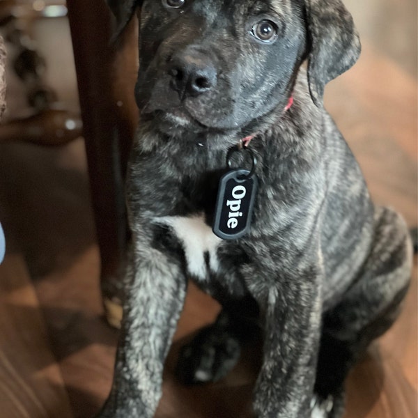 Made in USA Military GI Dog Tags Kit With Tag, Silencer and Fastener ...