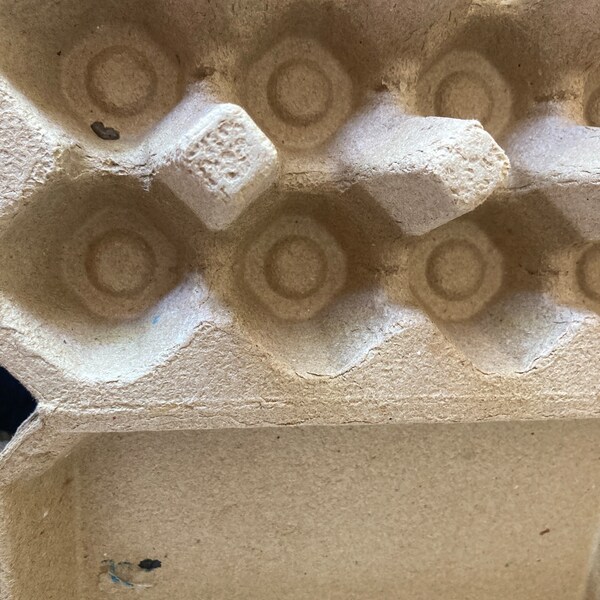 Blue Mist Bantam Square Paper Pulp Chicken Egg Cartons 12 Eggs - Etsy