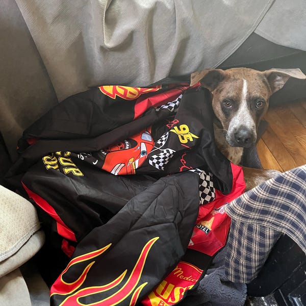 Custom Embroidered Buzz Woody to Infinity and Beyond Couple Sweatshirt ...