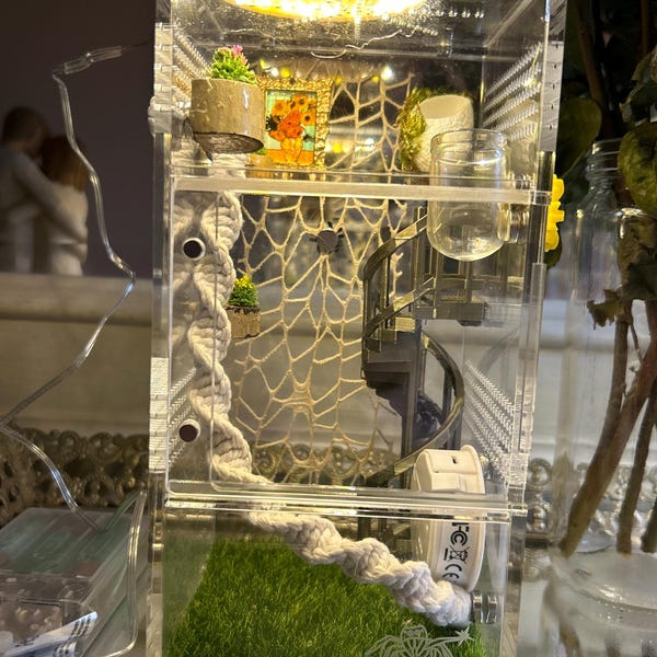 JC Decorated Hexagon Enclosures - Etsy