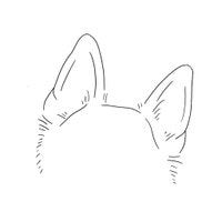 18 Cat Ear Line Drawing Clip Art and Stamps for Procreate - Etsy Canada