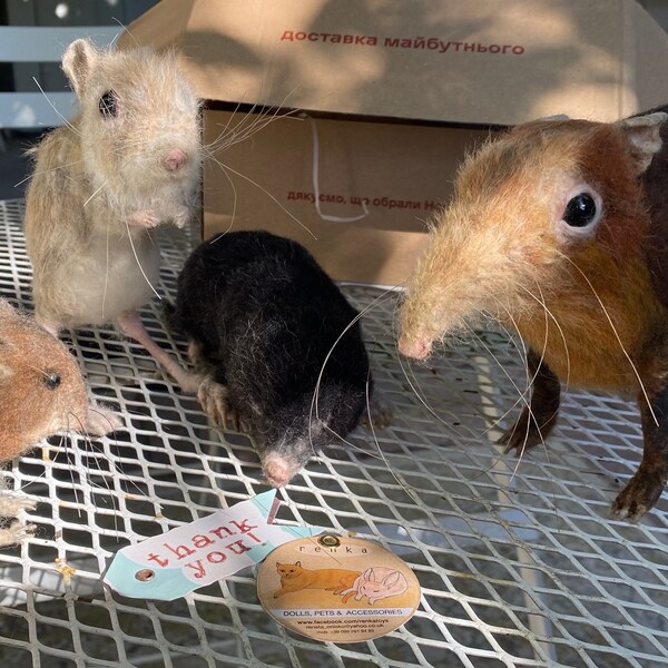 Field Mouse/hyper Realistic Felted Field Mouse - Etsy