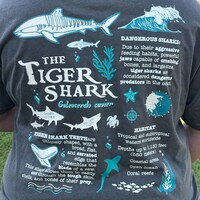 Underwater Sea Animal Vintage Hoodie Gift for Marine Biologist/ocean ...