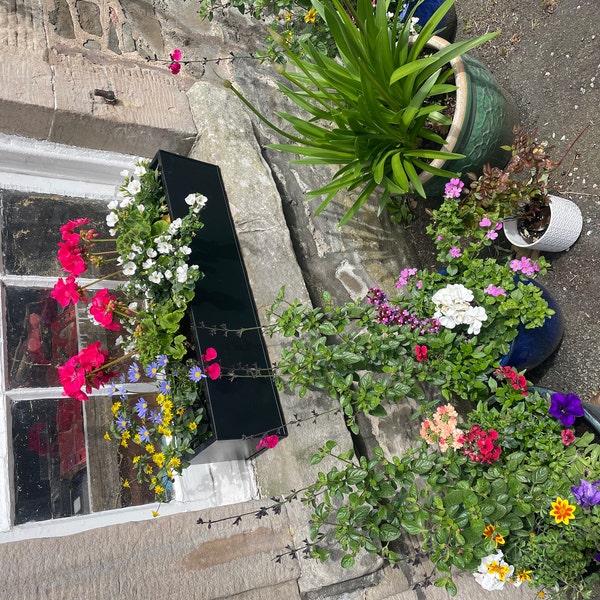 Clayfibre Lion Head Cube Planter (large) - Etsy UK