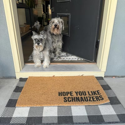 It's Not A Crack House It's A Crack Home Doormat, Funny Doormat, Funny ...