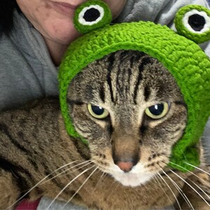 Green Knitted Yarn Frog Hat for Cat or Samll Animal Small and Medium ...