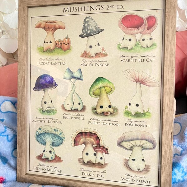 Mushling and Axolotl Print - Mushroom Axolotl Fine Art Giclée Print - Etsy