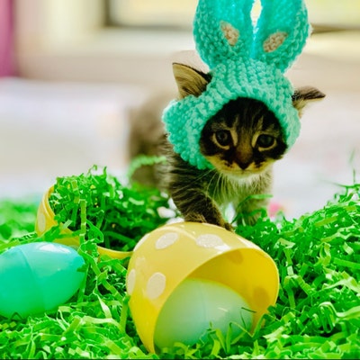 Bunny Cat Hat, Mint Bunny Hat, Rabbit Ears Cat Hat, Easter Cat Hat, Hat ...
