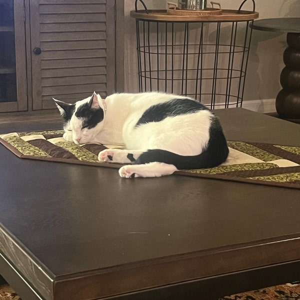 Quilted Table Runner, Quilted Fall Table Runner, Fall Runner, Quilted ...