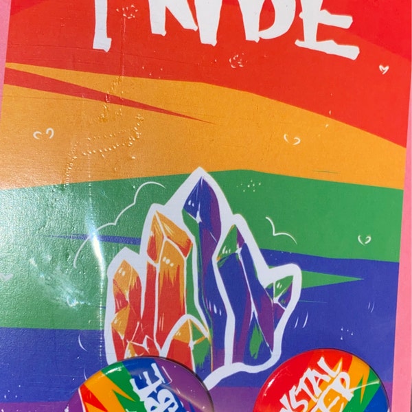 LGBTQ PRIDE PUNS Button | Asexual, Aromantic, Pansexual, Lesbian ...