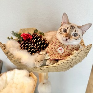 Toads and Mushrooms, toadally Fungi Cream Velvet, Forest, Reversible ...