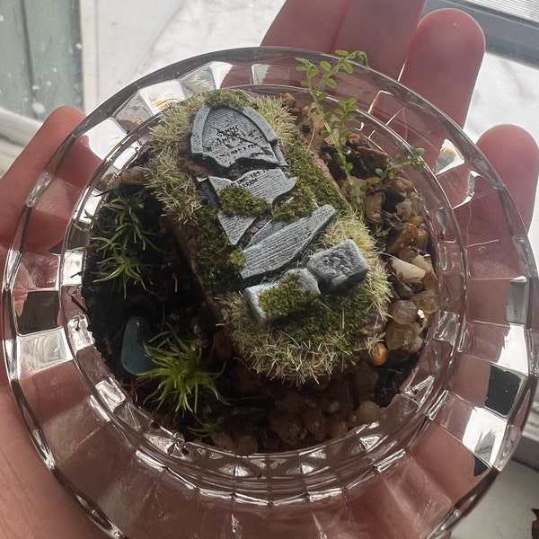 Graveyard (6) Mausoleum Moss Gravestone Skull Statue Tomb / Painted ...