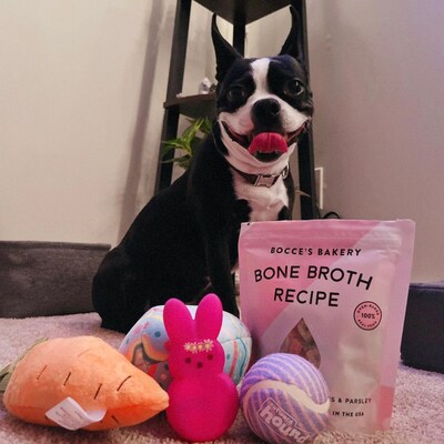 Double Pup Parcel Doggy Gift Box EIGHT Toys/treats - Etsy