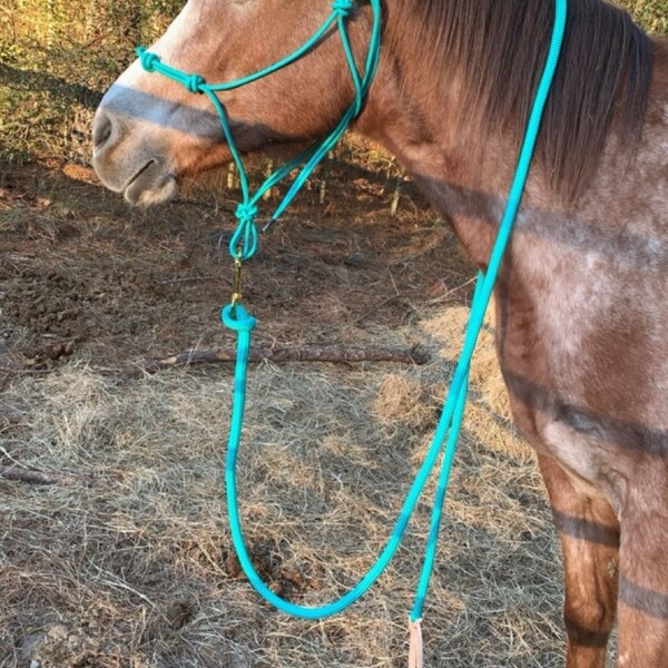 Custom Soft or Stiff, 2 Knot or 4 Knot Rope Halters - Etsy