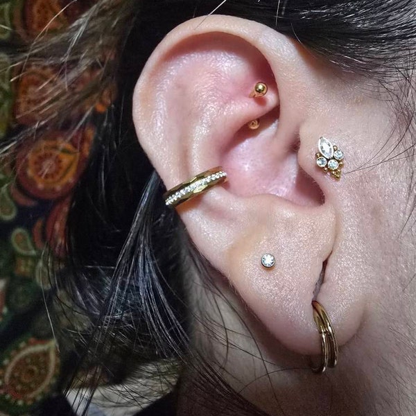 ASTM F136 Smooth Bar With Chain Loops Conch Earring, Conch Labret ...