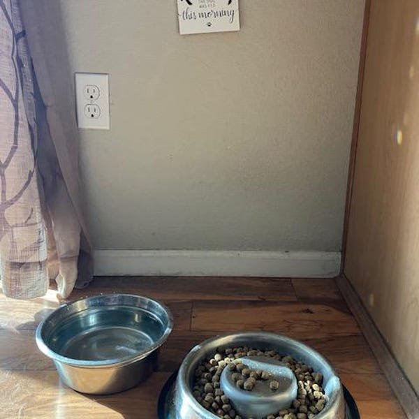 Cute Little Dog Fed Sign - Dog Feeding Tracker - Did You Feed the ...