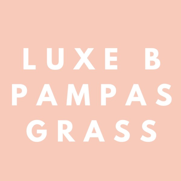 Neutral Minimal Chic Email Template, Sophisticated Canva Email ...