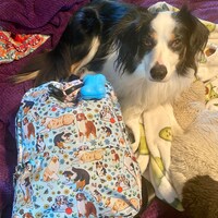 Corgi Mug Science Style Funny Cartoon Dog Gifts Periodic - Etsy