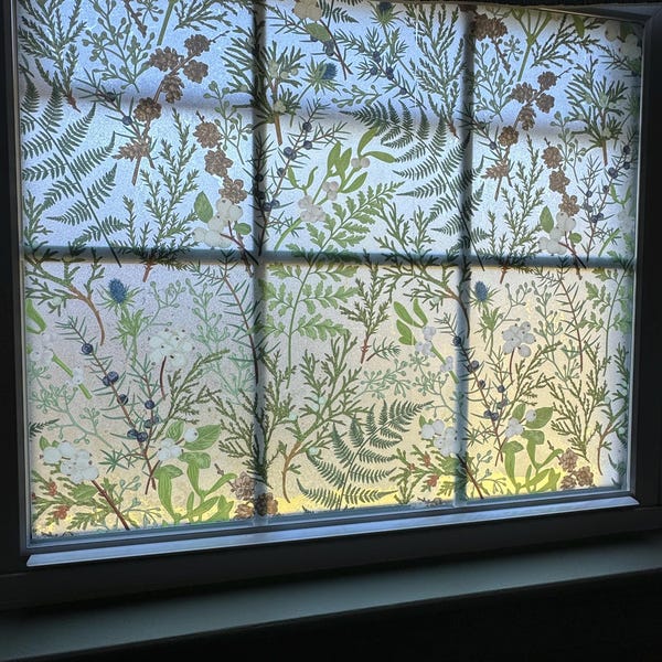 Bird Wall Decals for Bedroom Nature Wall Stickers Kidsroom Removable ...