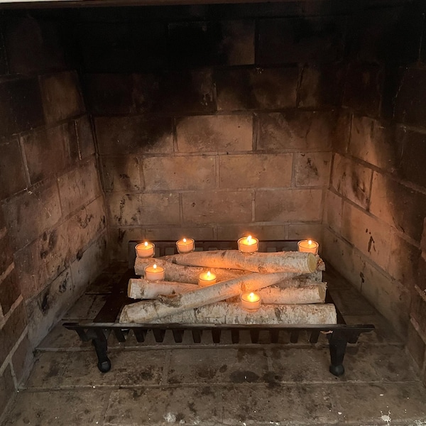 Birch Bundle of Logs (10) Free Shipping - Etsy