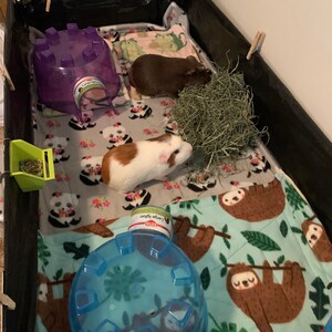 South Park Craig Hat | Etsy