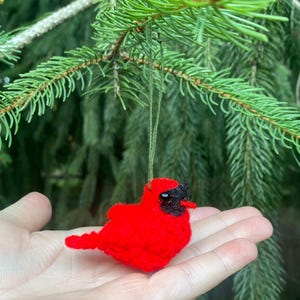 Red-bellied Woodpecker Written Crochet Pattern Realistic Garden Bird ...