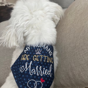 Dog Paw and Human Hand Machine Embroidery Files in Sketch - Etsy