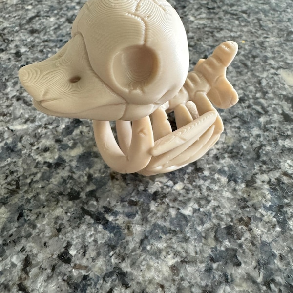 Skeleton Duck - Etsy