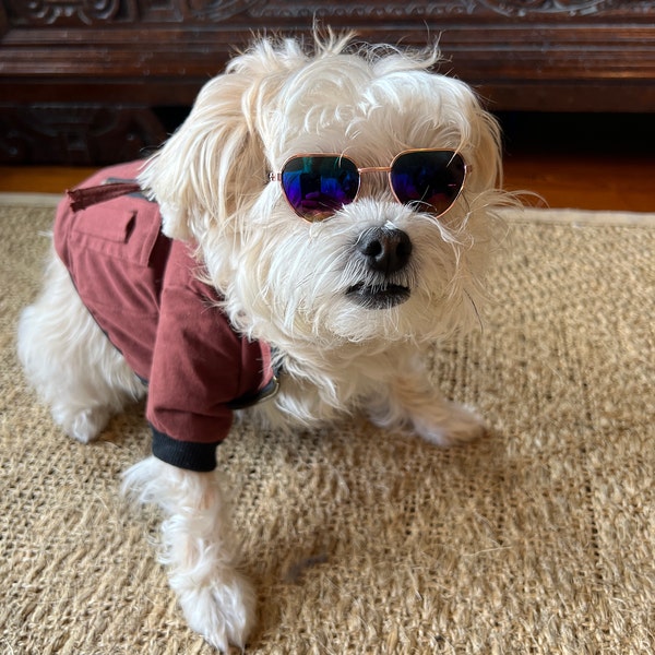 Dog Flight Jacket | Red - Etsy