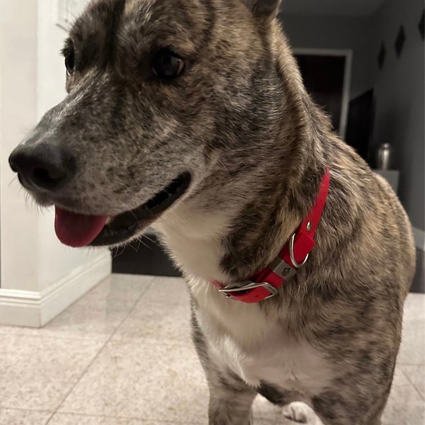 Stainless Steel Rivets, Double Cap Rivets, Rivets for Leather, Rivets ...