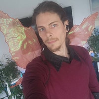 Crysta Fairy Wings, Fern Gully, Small and Sweet - Etsy Canada