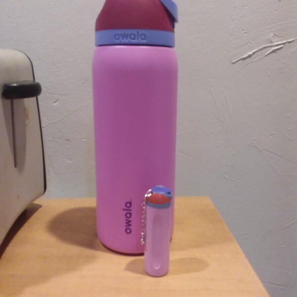 The Tinywala- Customizable Keychain Water Bottle Inspired by the Owala ...