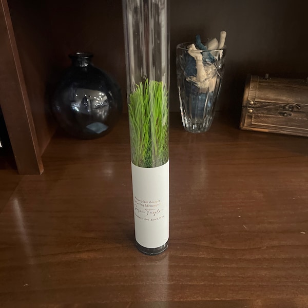 Let Love Grow Wedding Favor Pine Seedling Wedding Favor Gift Tree ...