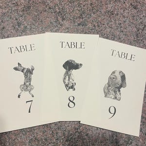 Custom Pet Table Numbers - Etsy