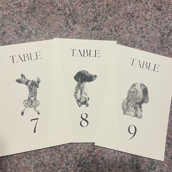 Custom Pet Table Numbers - Etsy