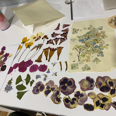 Tree of Life / Labyrinth Mini Grid - Etsy