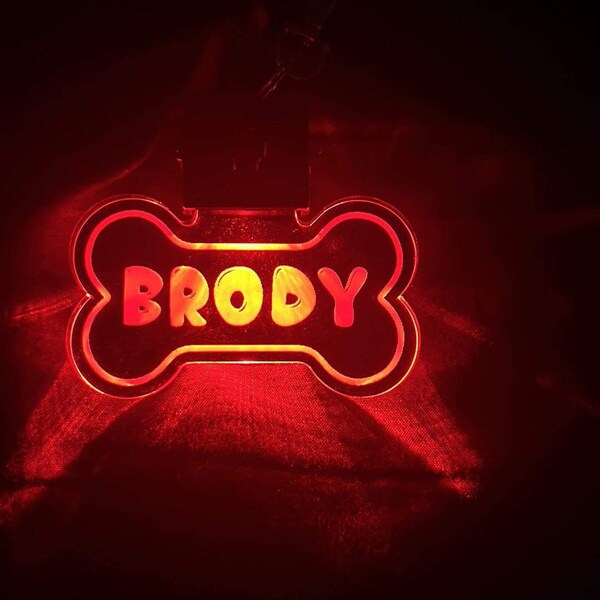 Human Pup Necklace Light up Dog Tag Color Changing Stocking Stuffer LED ...