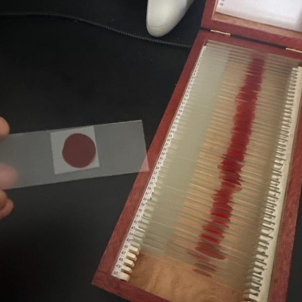 Dexter Blood Slide Box Mahogany - Etsy Australia