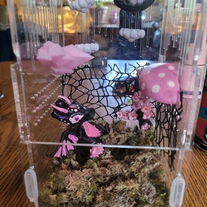 JC Decorated Hexagon Enclosures - Etsy