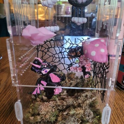 JC Decorated Hexagon Enclosures - Etsy