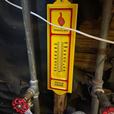 Large Vietnam War SNOOPY Special Forces Green Berets Over & - Etsy