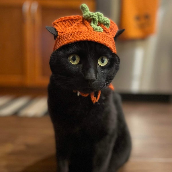 Pumpkin Hat for Cat, Halloween Pet Costume, Fall Kitten Outfit ...