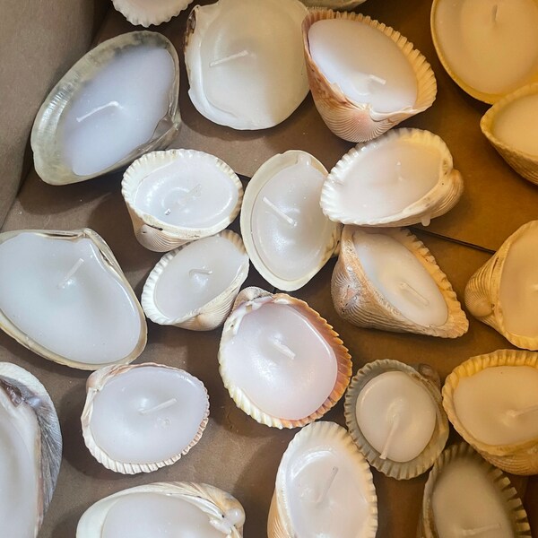 Ground Egg Shells Free Range 4 Oz Bag - Etsy