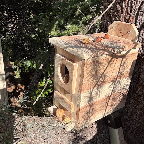 Large Squirrel House, Squirrel House, Cedar Squirrel House, Squirrel ...