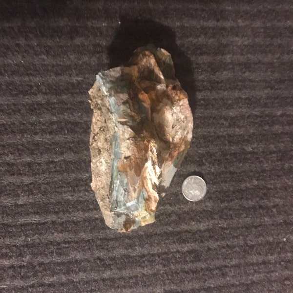 Petrified Wood Slice, Wood Grain. Fossilized Wood Rock Collection ...