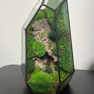 Geometric Terrarium Prism Desktop Mossarium Centrepiece Preserved Moss ...