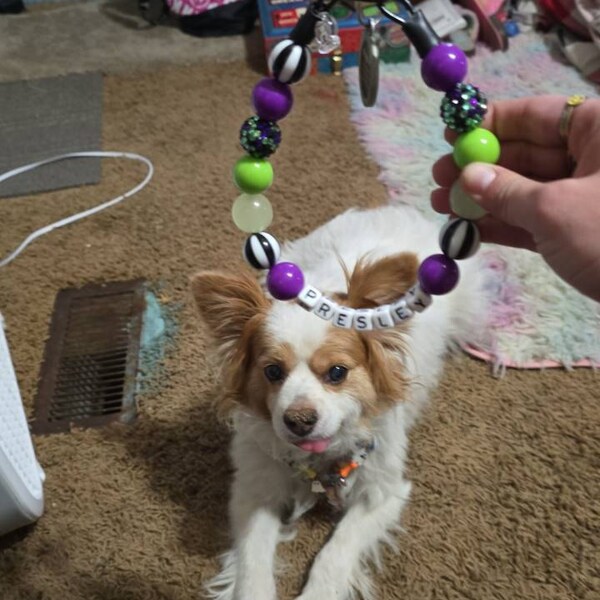 Island Punch Bead Dog Collar With Name, Colorful Pastel Glam Pearl Dog ...