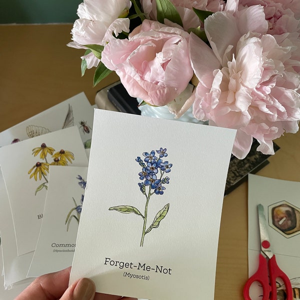 The GARDEN Notebook - Homeschool Printable Nature Study Charlotte Mason ...